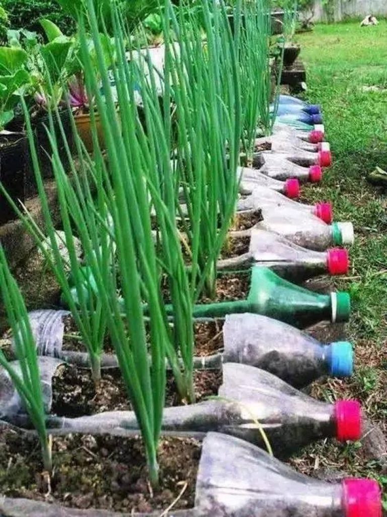 How To Reuse Plastic Bottles For Gardening Engineering Discoveries how-to-reuse-plastic-bottles-for-gardening-engineering-discoveries