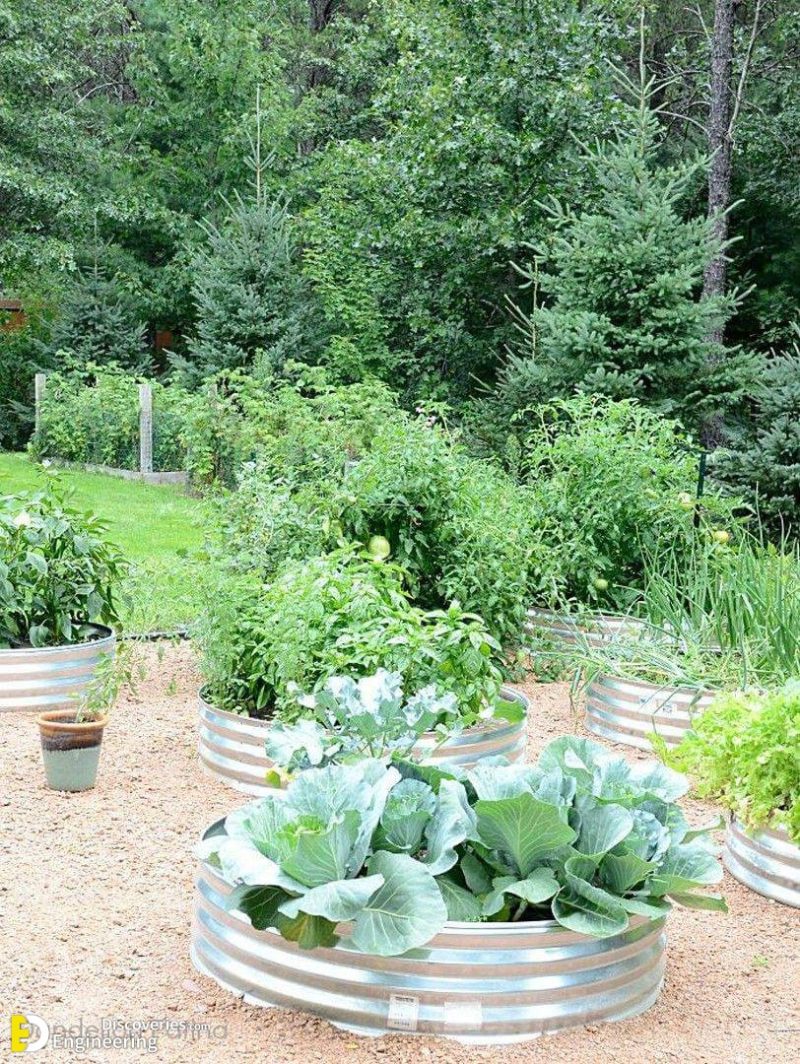 30 Easy Container Vegetable Garden Ideas For Your Yard | Engineering ...