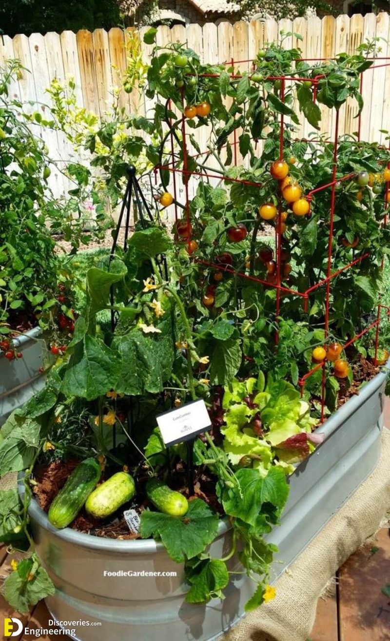 30 Easy Container Vegetable Garden Ideas For Your Yard | Engineering ...