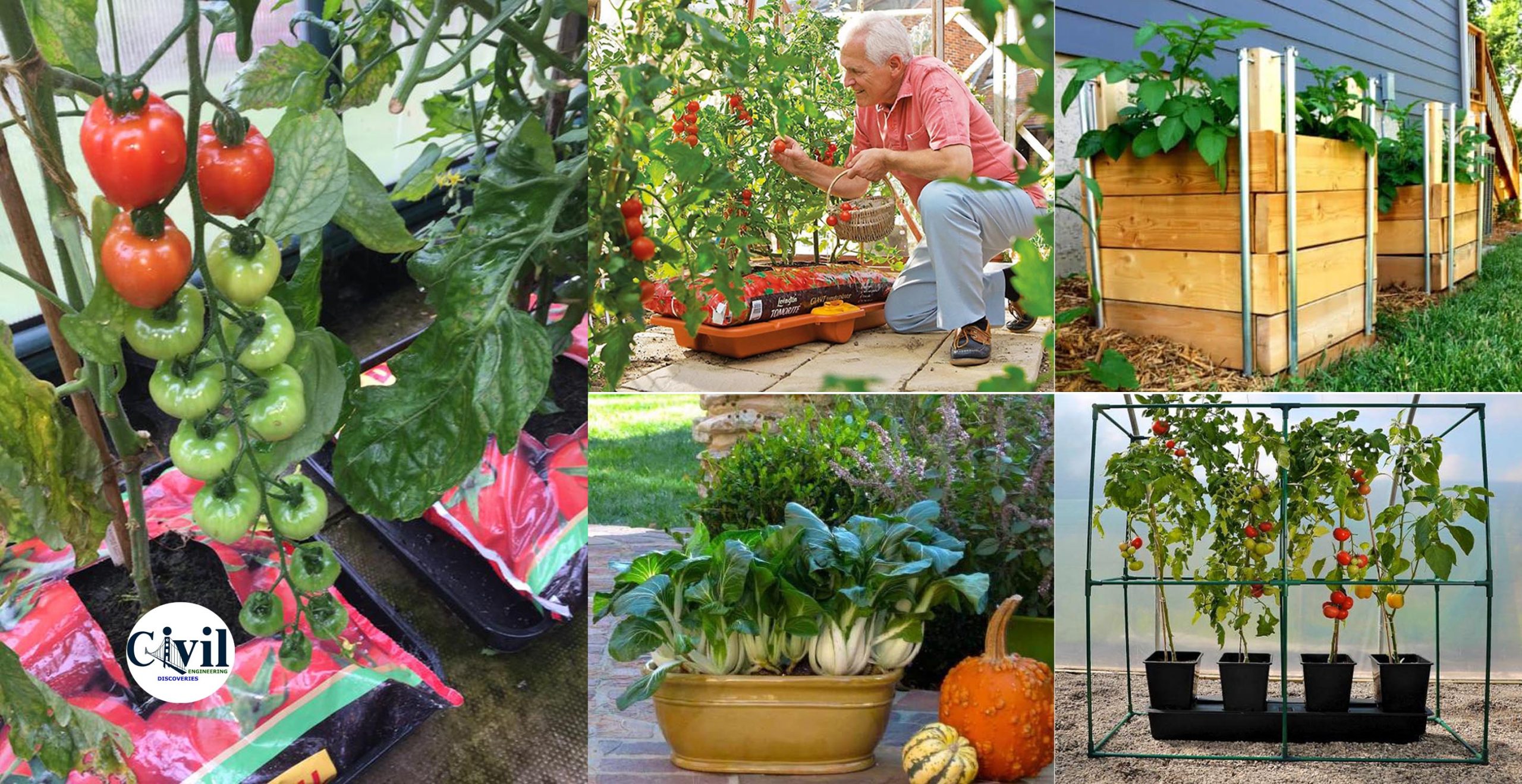 Easy Vegetable Garden Ideas 10 Easy Vegetable Garden Ideas Most Easy Vegetable Garden Ideas 10 Easy Vegetable Garden Ideas Most