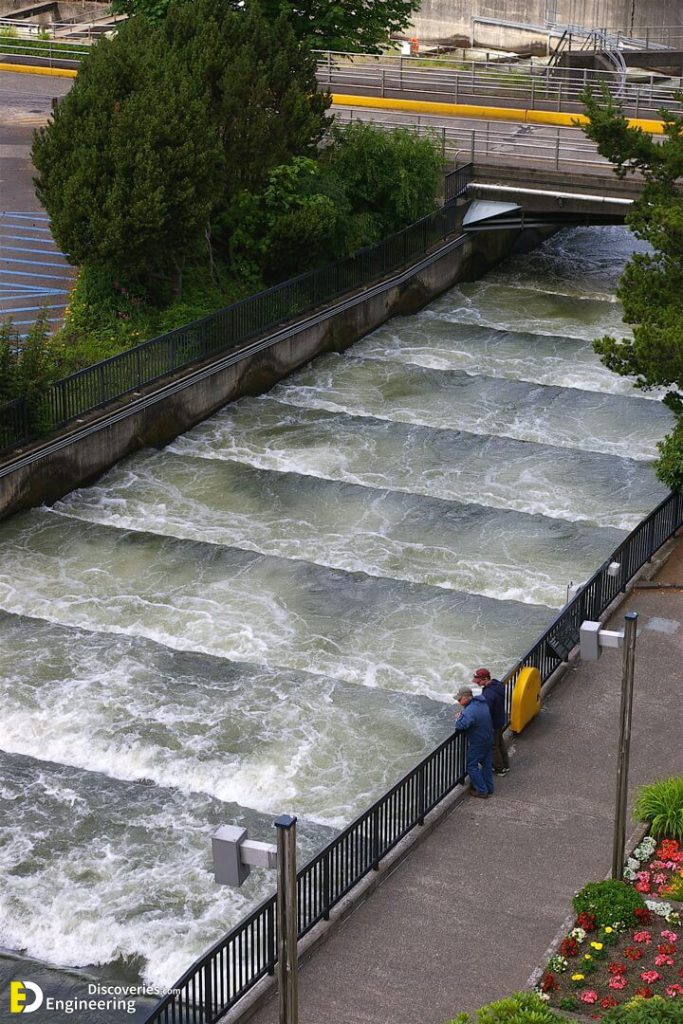 Different Types Of Fish Ladders (Fishways) - Engineering Discoveries