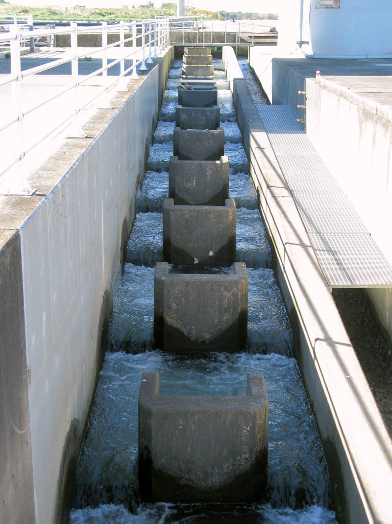 Different Types Of Fish Ladders (Fishways) - Engineering Discoveries