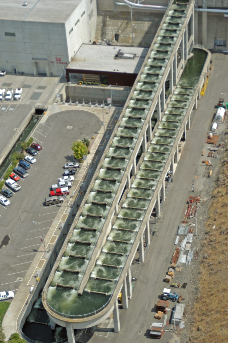 Different Types Of Fish Ladders (Fishways) - Engineering Discoveries