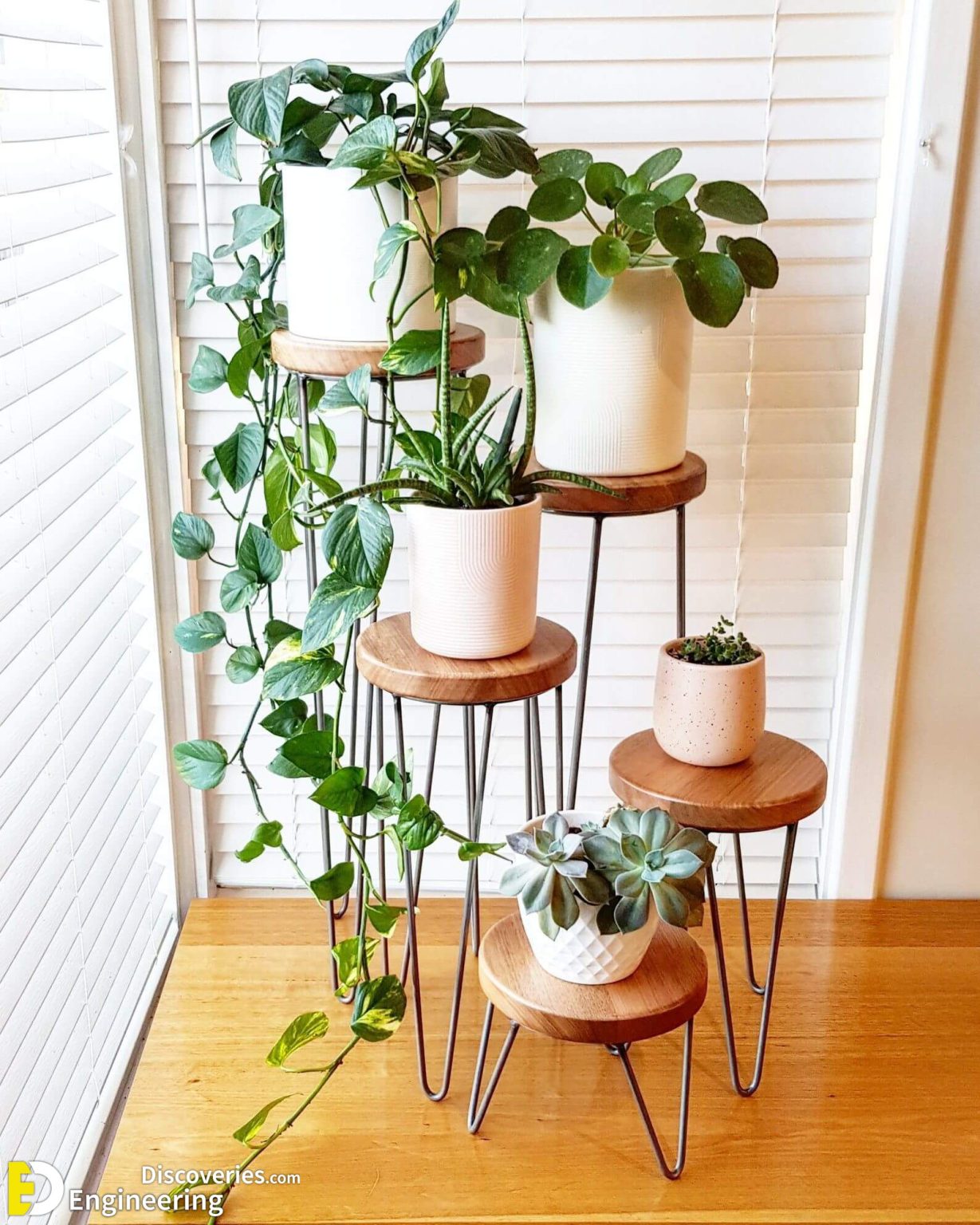 30 Indoor Green Plants For Your Home To Look Fresher And Cooler ...