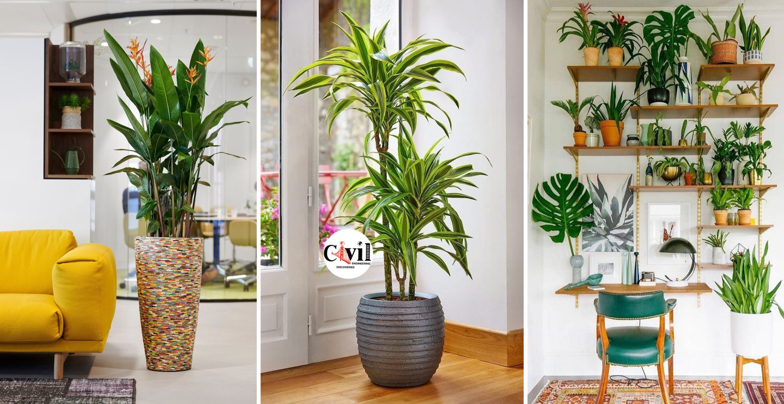 30 Indoor Green Plants For Your Home To Look Fresher And Cooler ...