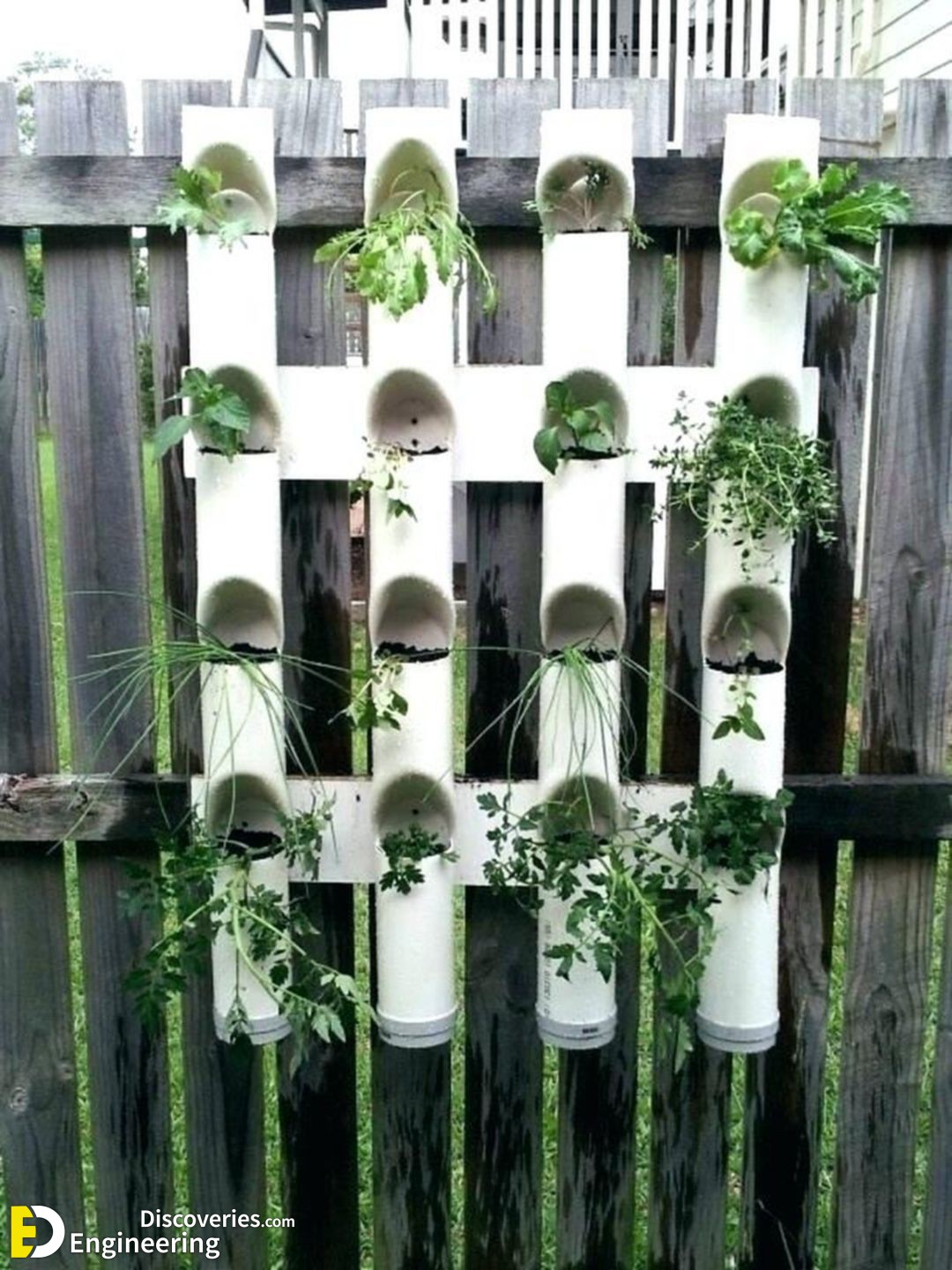 Use Pvc Pipe To Make Garden Fence | Fasci Garden