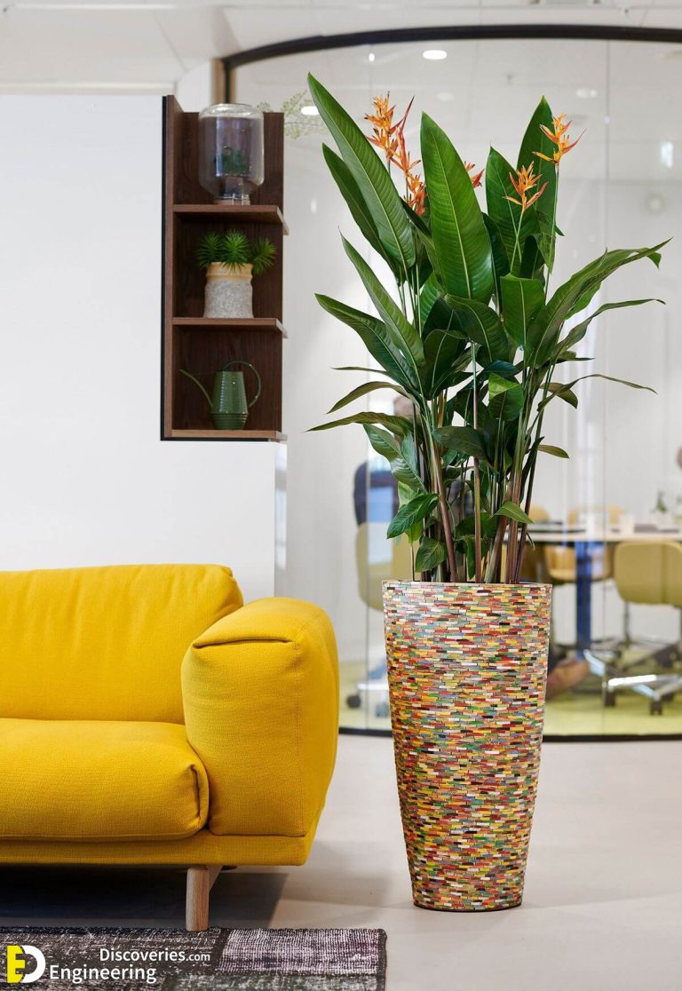 30 Indoor Green Plants For Your Home To Look Fresher And Cooler ...