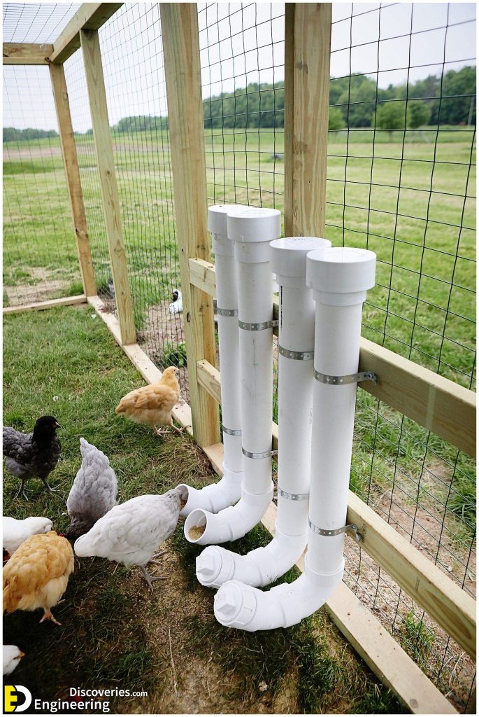Clever Solutions To Reduce Chicken Feed Waste | Engineering Discoveries