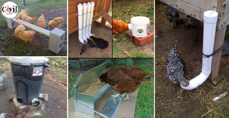 Clever Solutions To Reduce Chicken Feed Waste | Engineering Discoveries