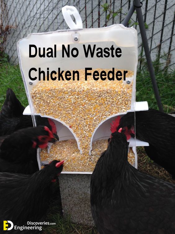Clever Solutions To Reduce Chicken Feed Waste | Engineering Discoveries