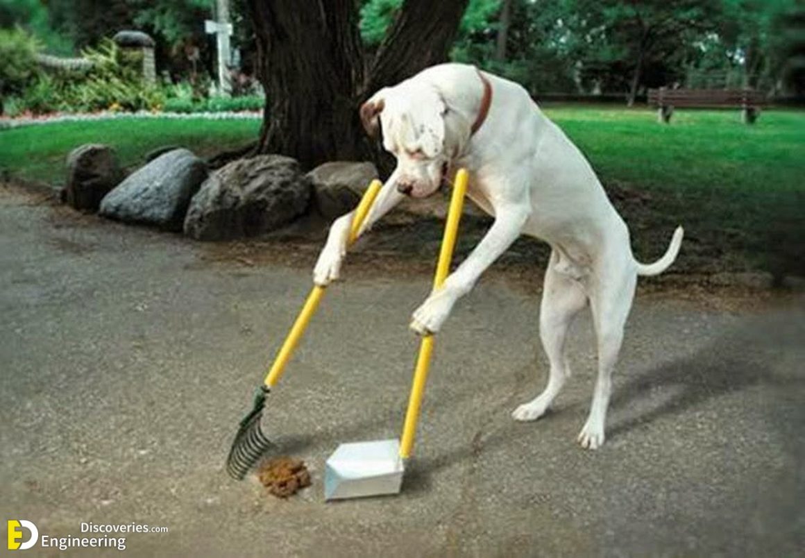 22+ Funny And Hilarious Pictures | Engineering Discoveries