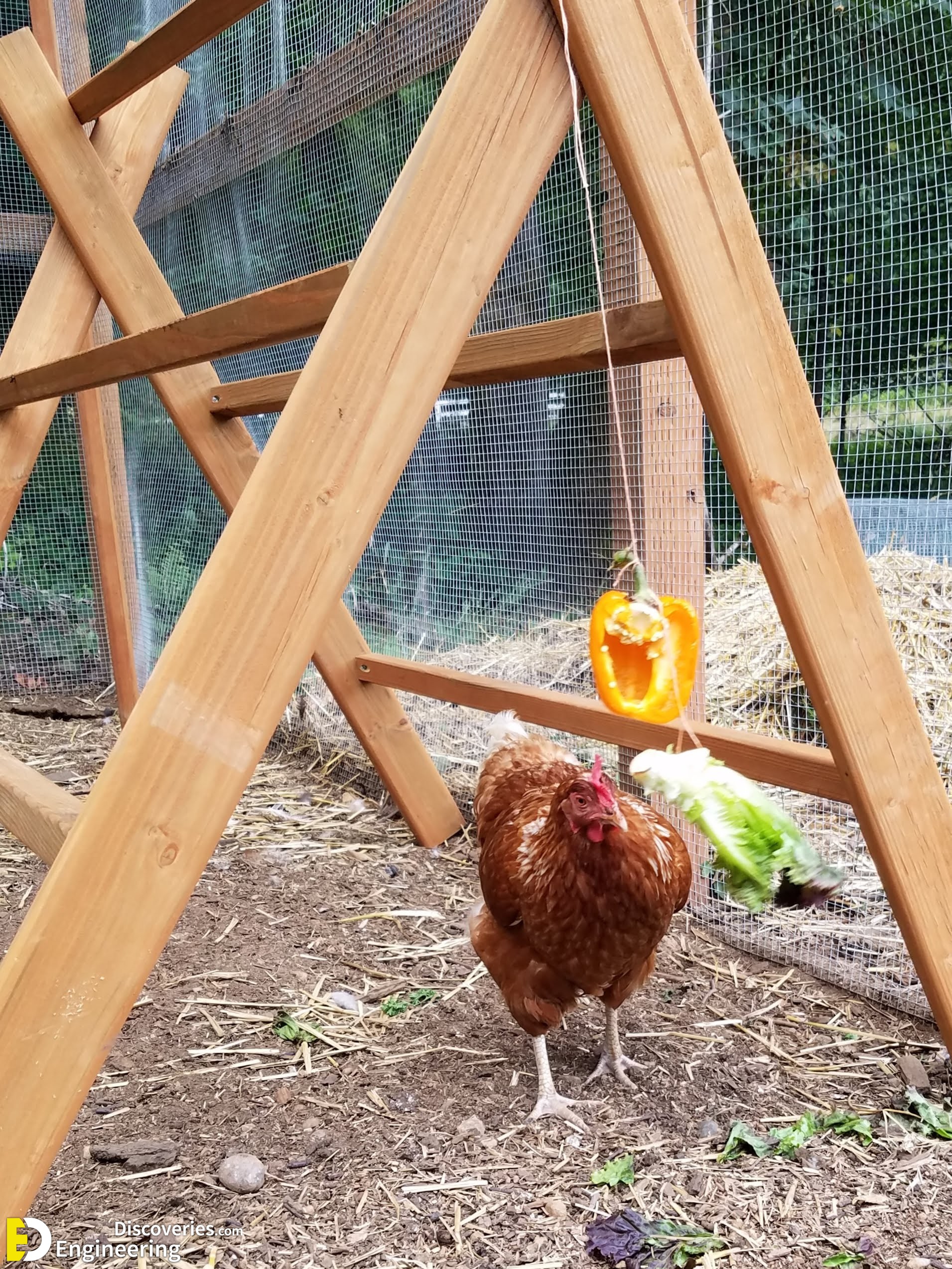 30 DIY Chicken Feeder Ideas – You Can DIY This Weekend | Engineering ...