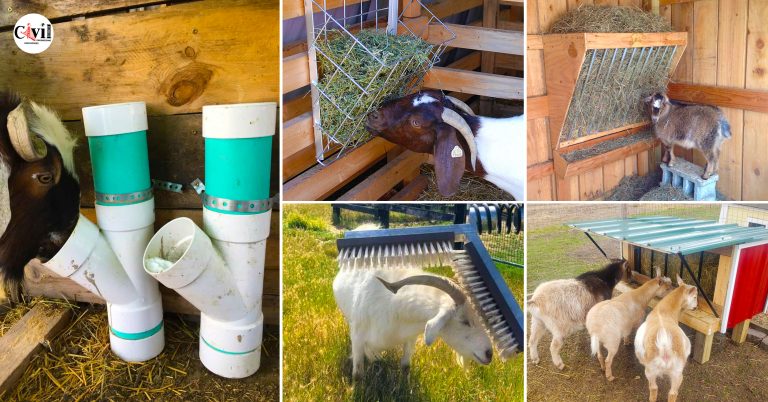 Smart Goat And Sheep Hay Feeder Ideas Engineering Discoveries