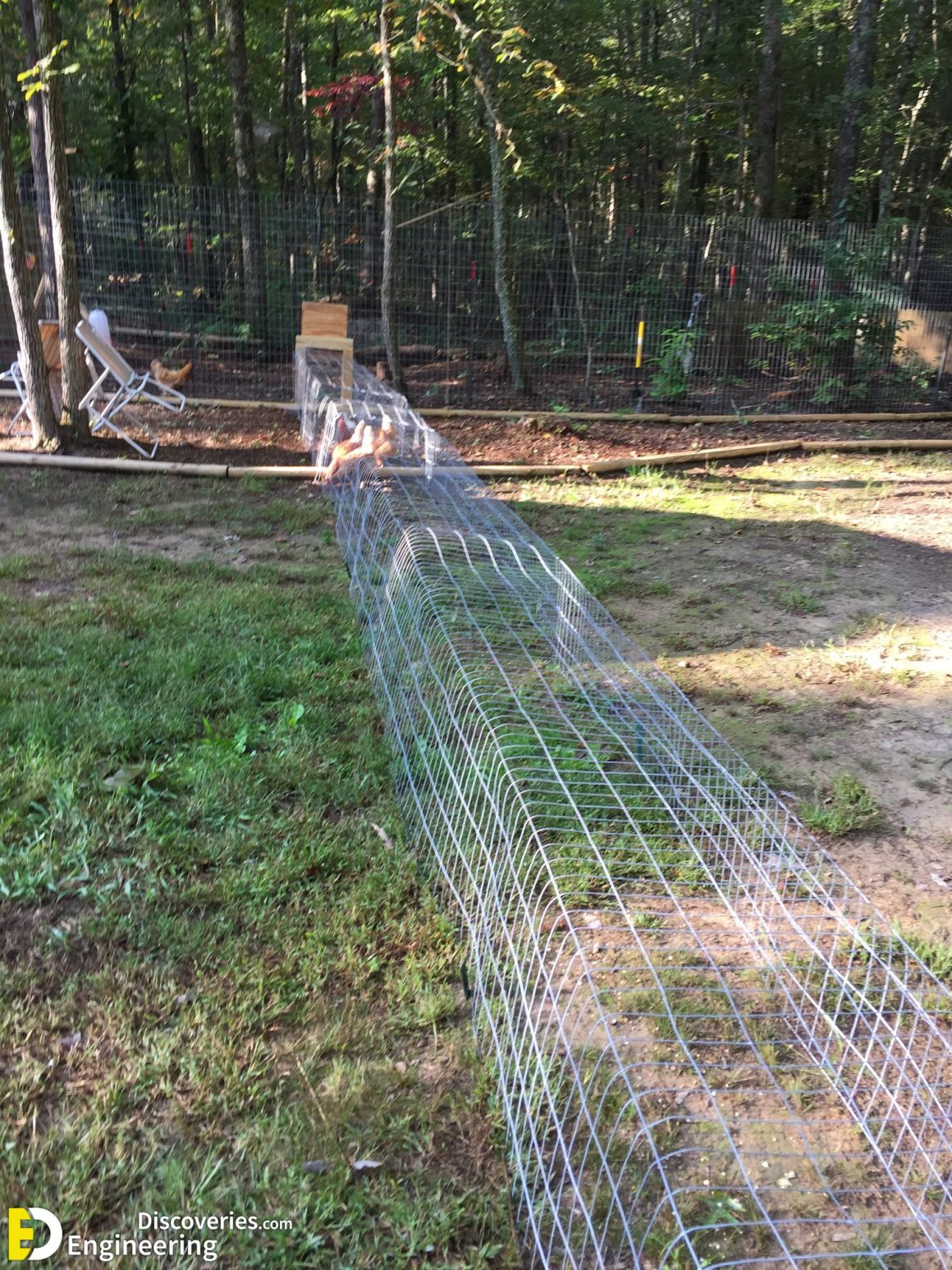 How To Build A DIY Chicken Tunnel In Your Backyard | Engineering ...